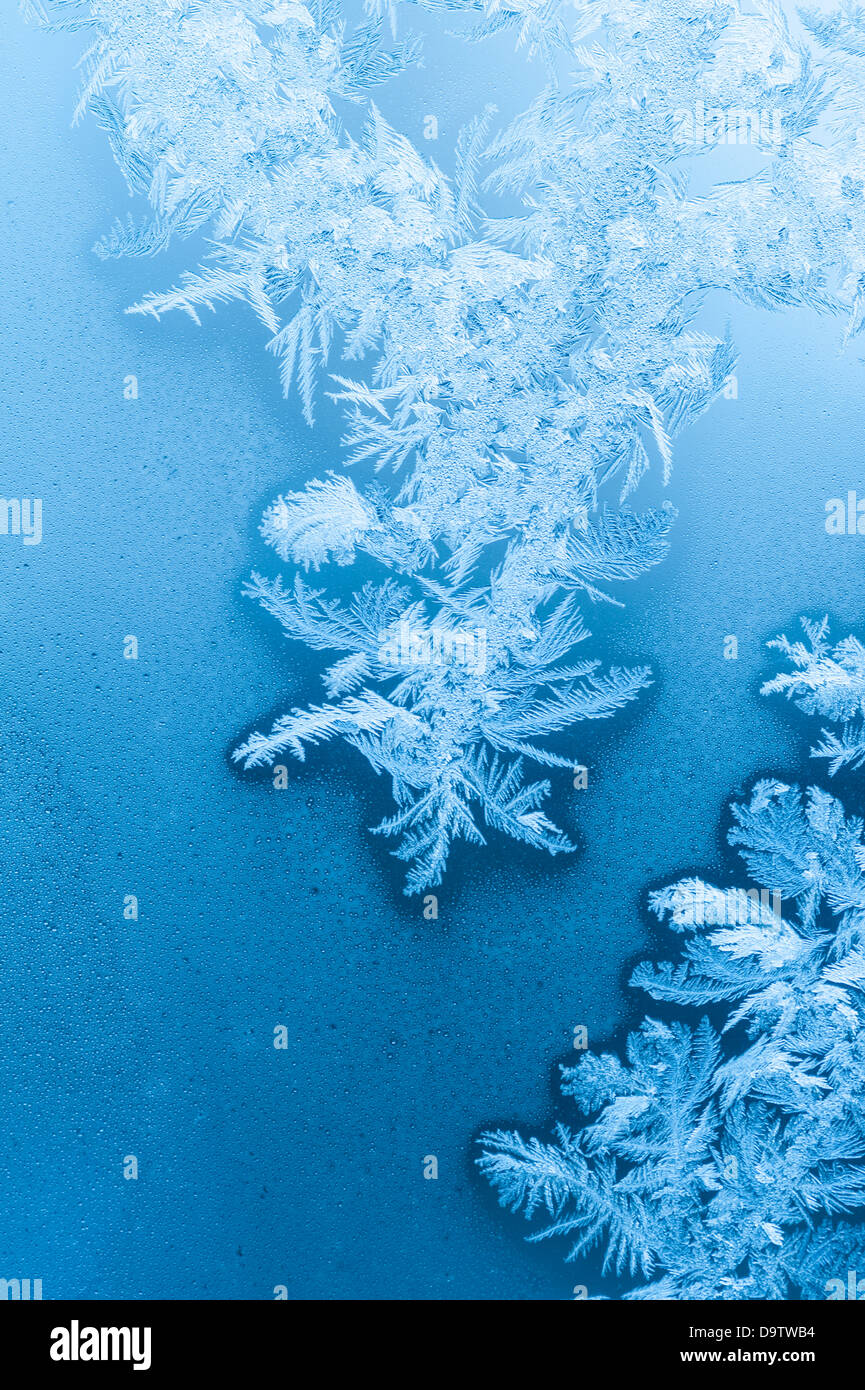 Abstract Textures & Patterns of Winter Frost on Glass Window Stock ...