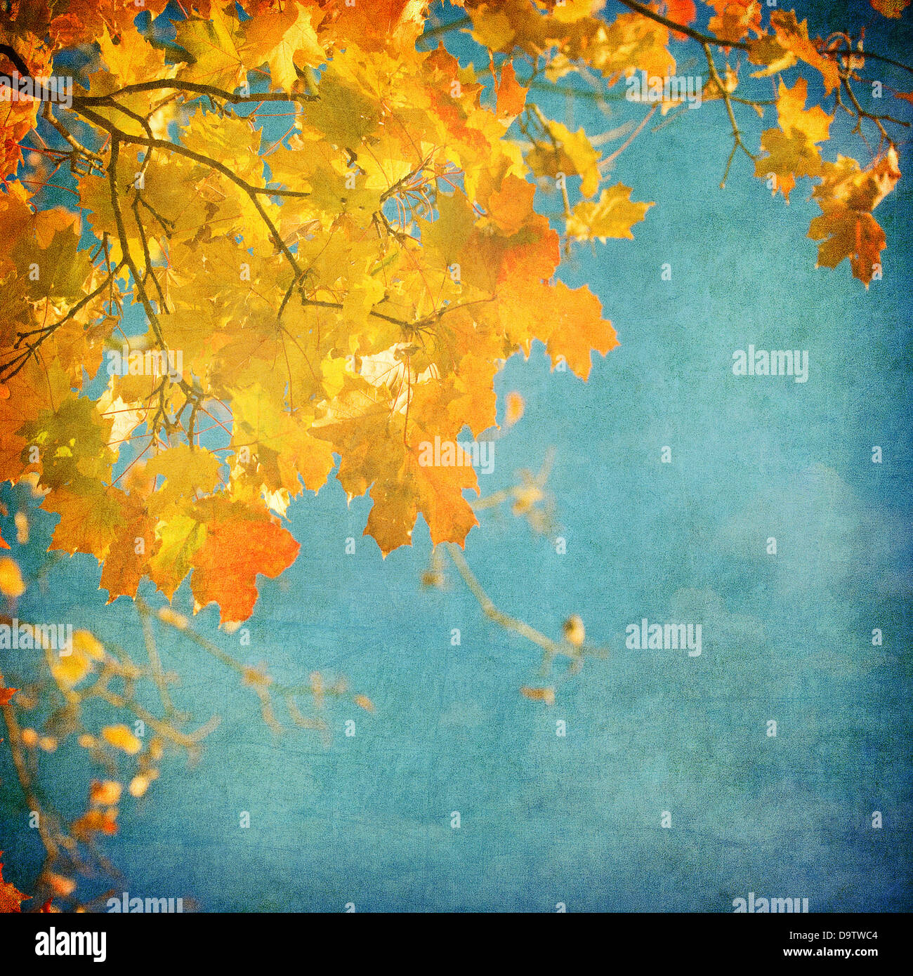 grunge background with autumn leaves Stock Photo - Alamy