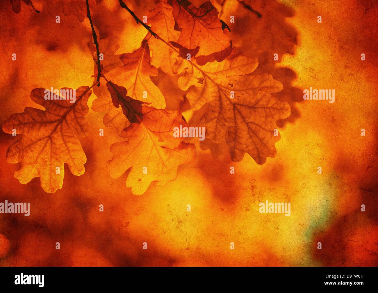 grunge background with autumn leaves Stock Photo - Alamy