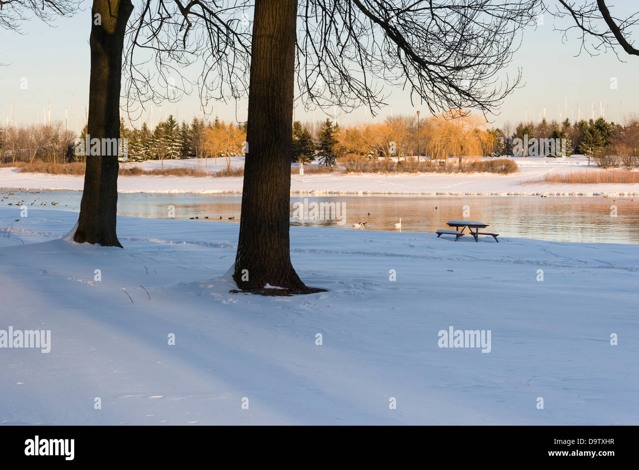 Ontario, Canada Winter Scene After Snowfall in Local Parks & Lake ...