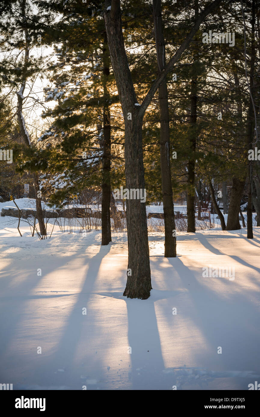 Ontario, Canada Winter Scene After Snowfall in Local Parks & Lake ...