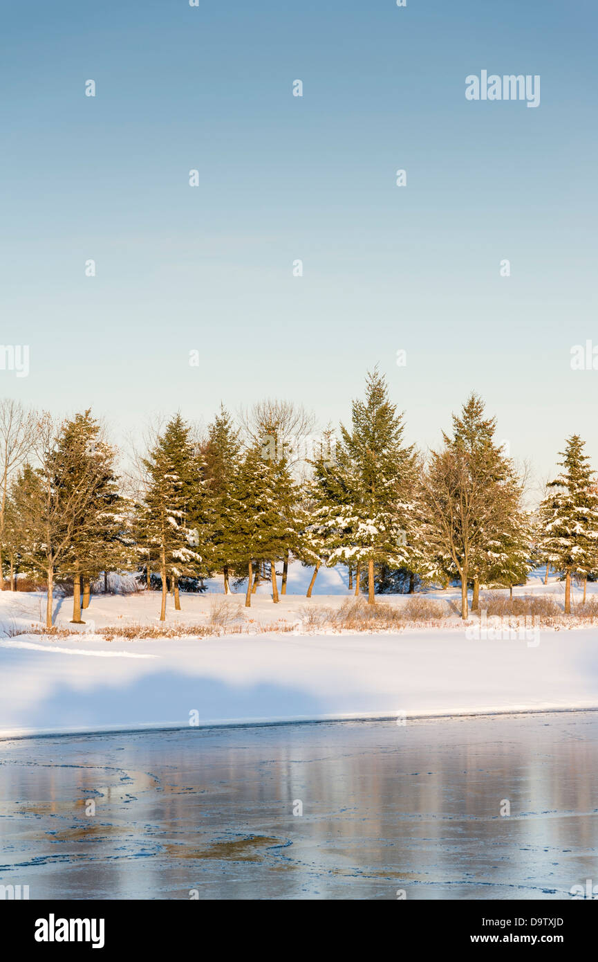 Ontario, Canada Winter Scene After Snowfall in Local Parks & Lake ...