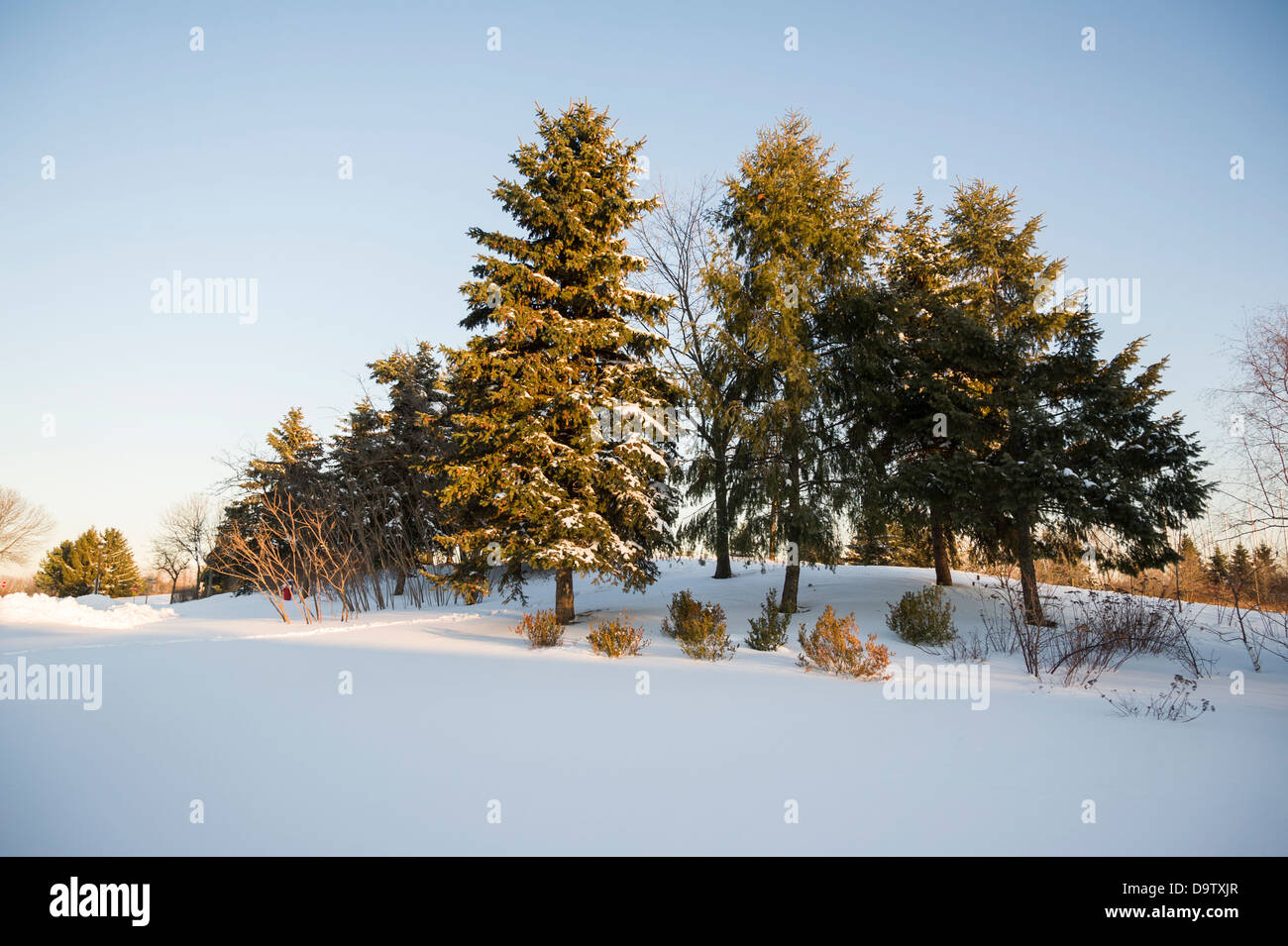 Ontario, Canada Winter Scene After Snowfall in Local Parks & Lake ...