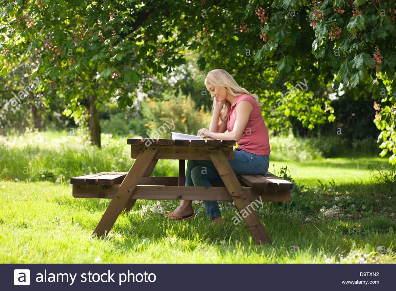 Woman Sitting Under Tree Reading Stock Photos & Woman Sitting Under ...
