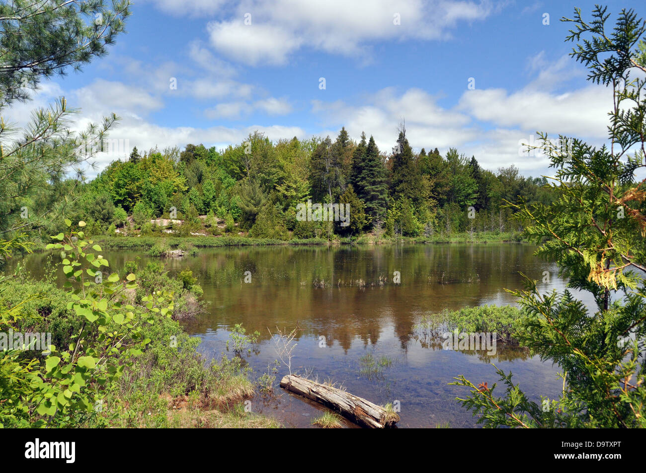 Northern ontario lake hi-res stock photography and images - Alamy