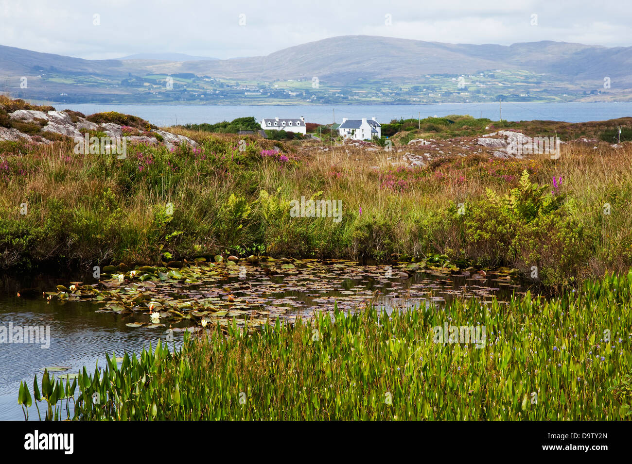 Dunmanus bay hi-res stock photography and images - Alamy