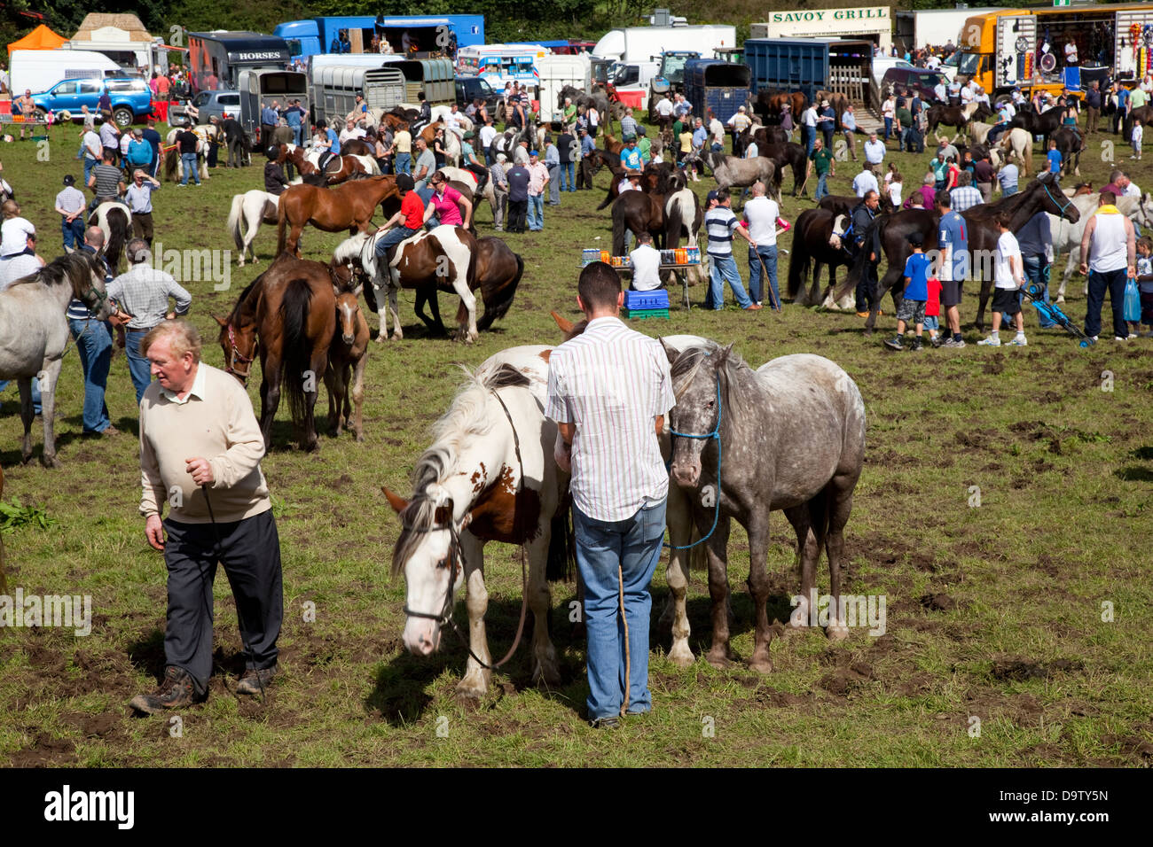 At the puck fair;Killorglin county kerry ireland Stock Photo - Alamy