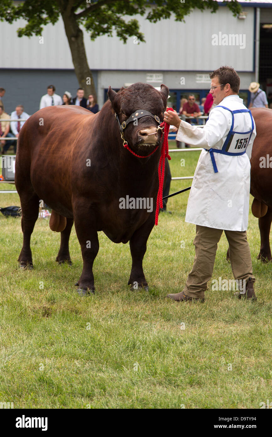 Royal Norfolk Showground, Costessey, Norwich, Norfolk, UK. 26th June ...