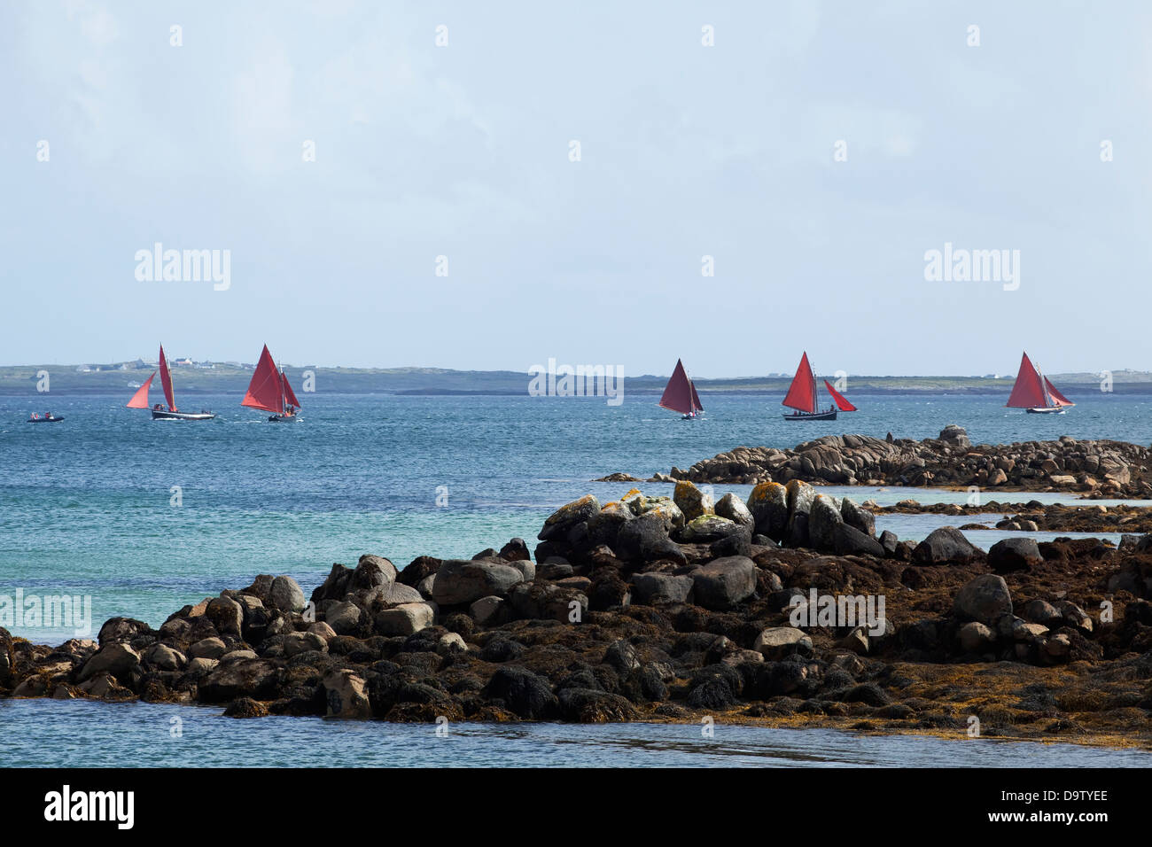 Red sailboats in the water for the roundstone regatta;Roundstone county ...