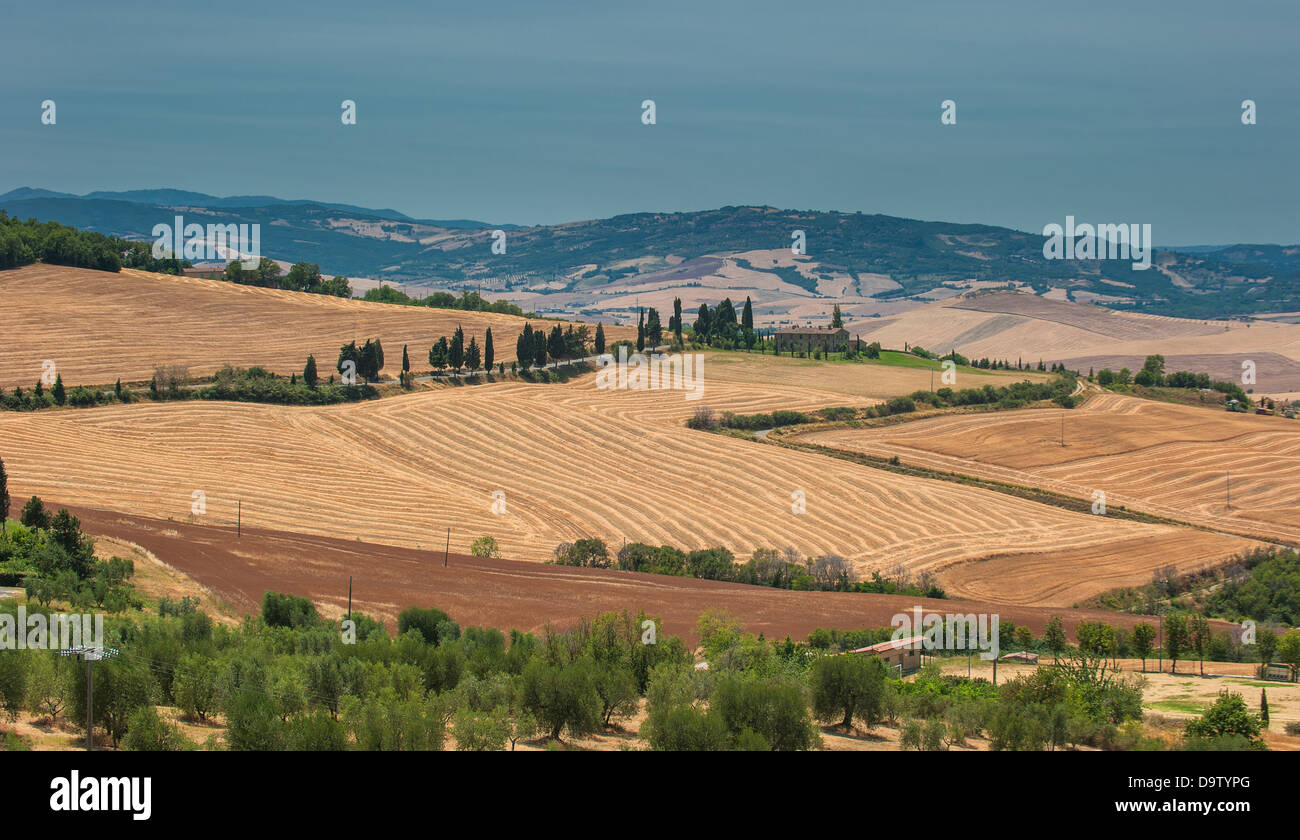 image of typical tuscan landscape Stock Photo - Alamy