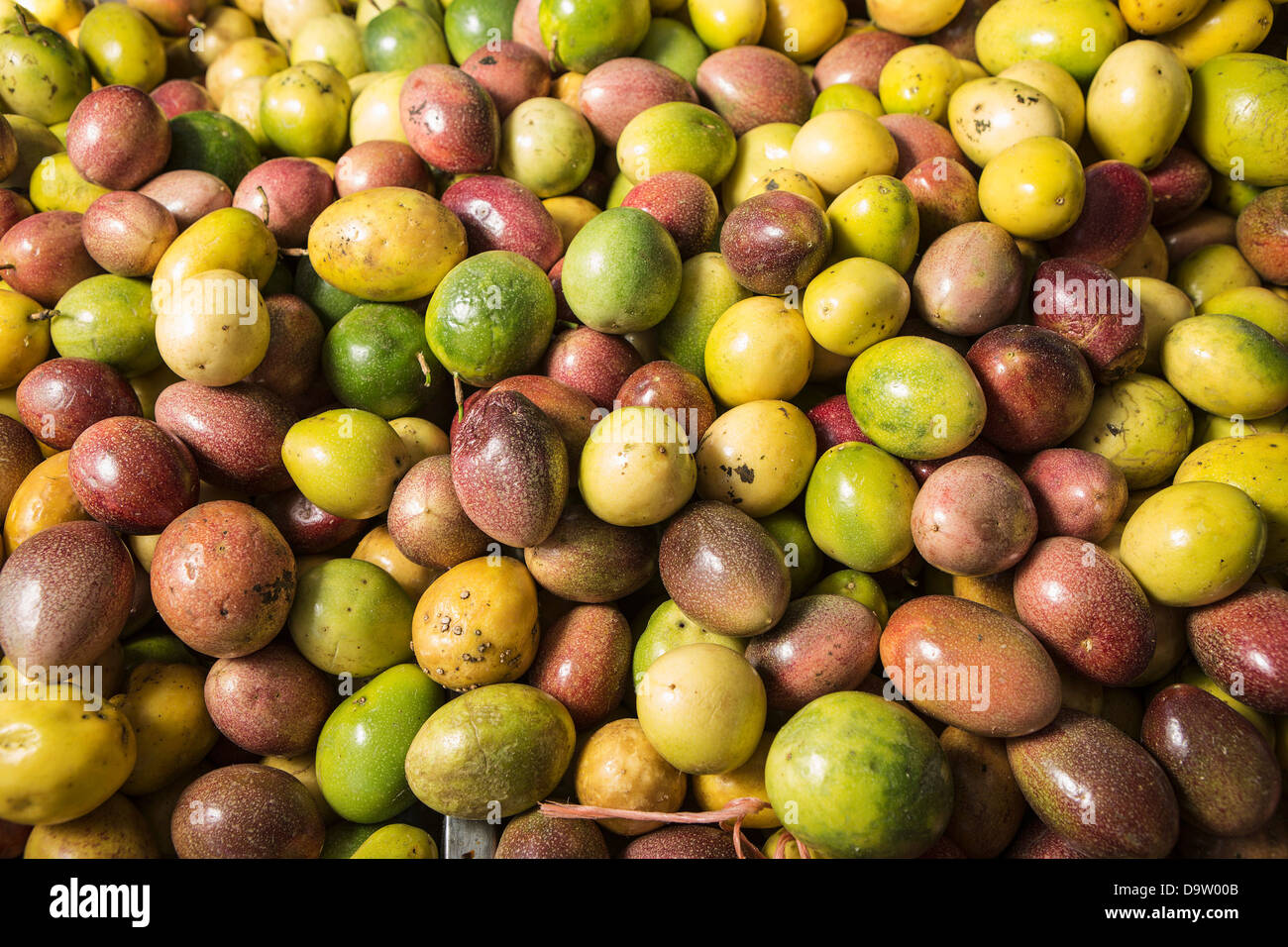 Mangoes for sale at a market stall, Costa Rica Stock Photo - Alamy