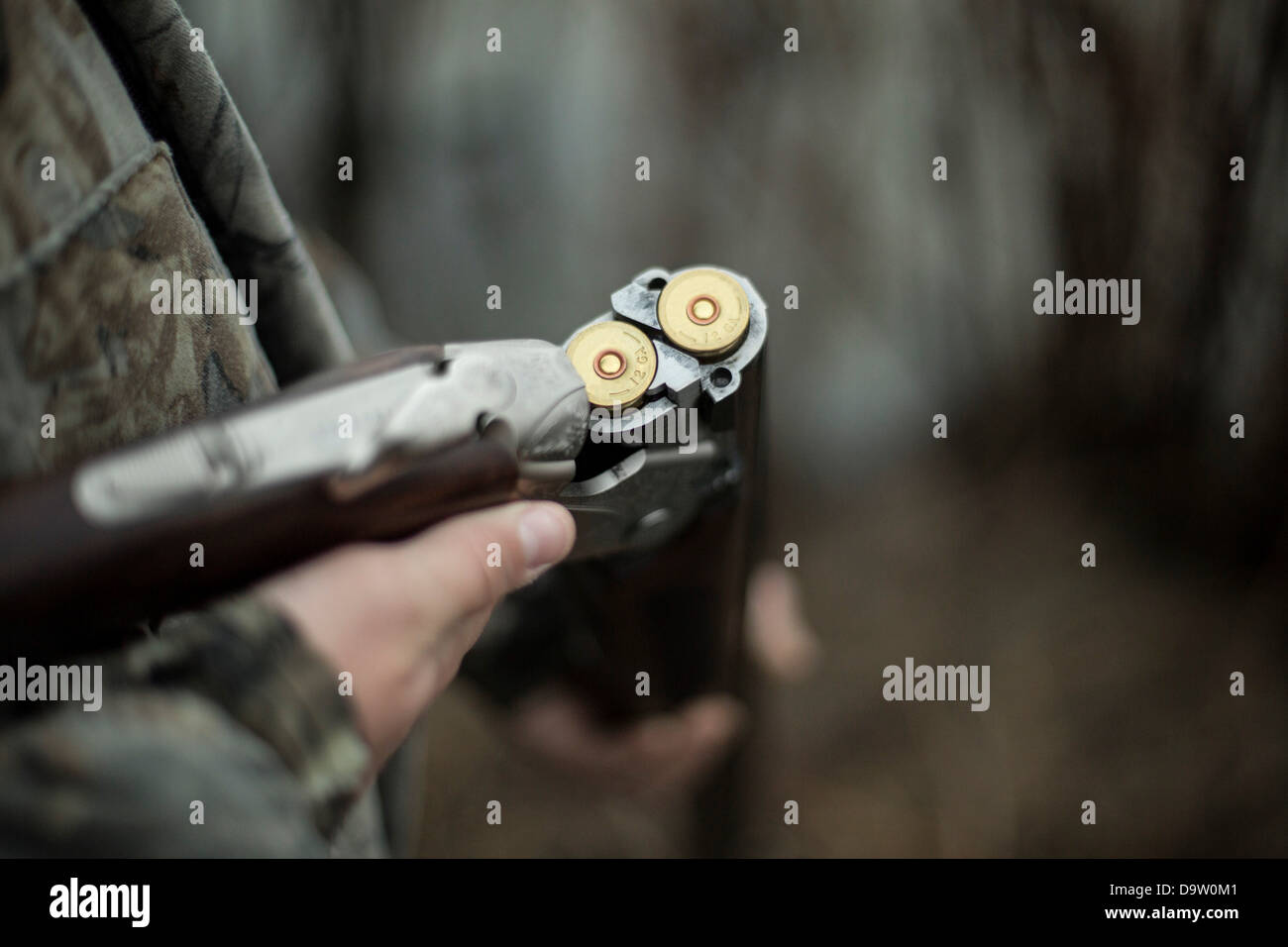 Over and under shotgun with shells loaded into chamber Stock Photo - Alamy