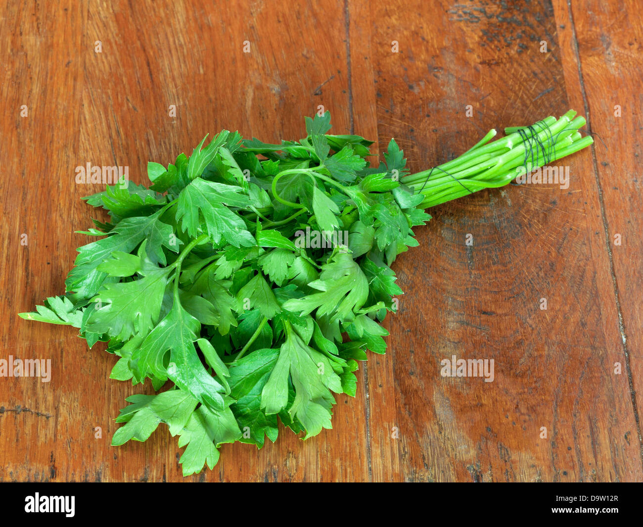 Wet parsley hi-res stock photography and images - Alamy