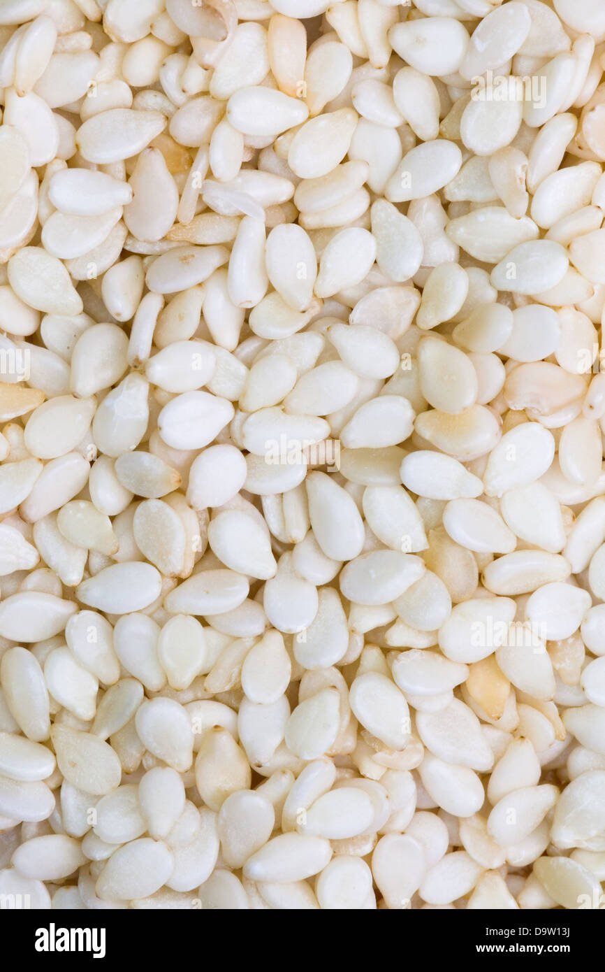 Sesame seed pod hi-res stock photography and images - Alamy