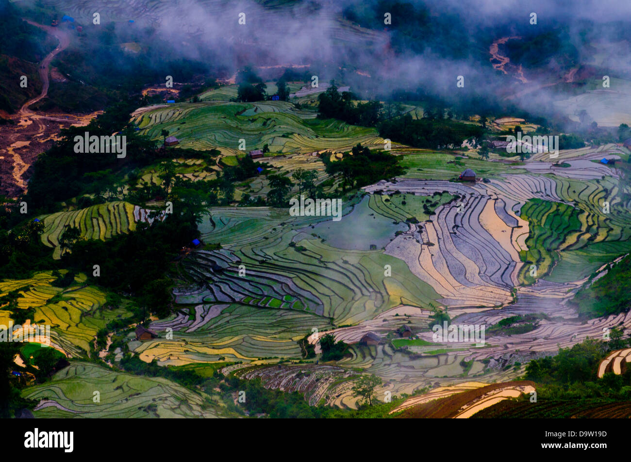 Beautiful terraced rice field in fog. Lao cai province, Vietnam Stock ...