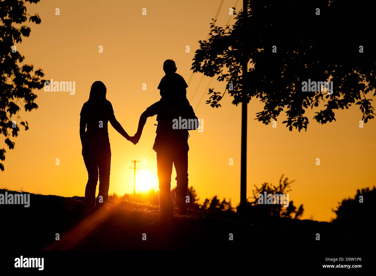 Father and sun playing at sunset; the whole scene is shot back lit ...
