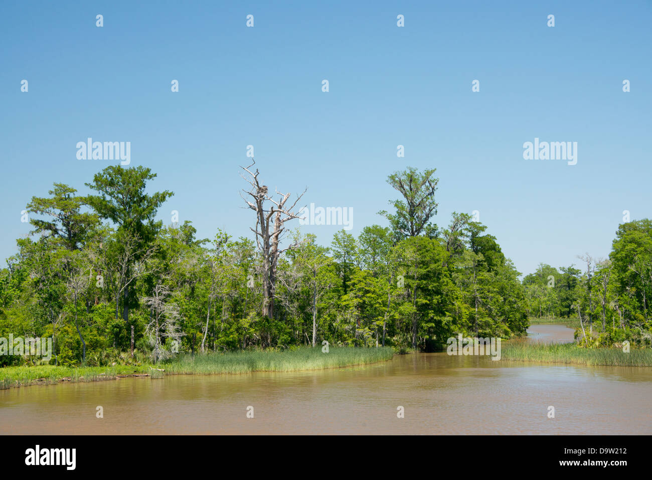 Mobile river hi-res stock photography and images - Alamy