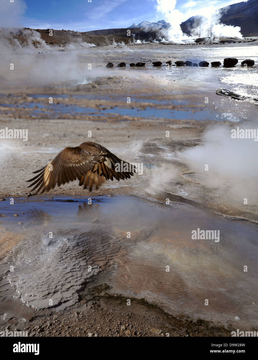 Extreme heat chile hi-res stock photography and images - Alamy