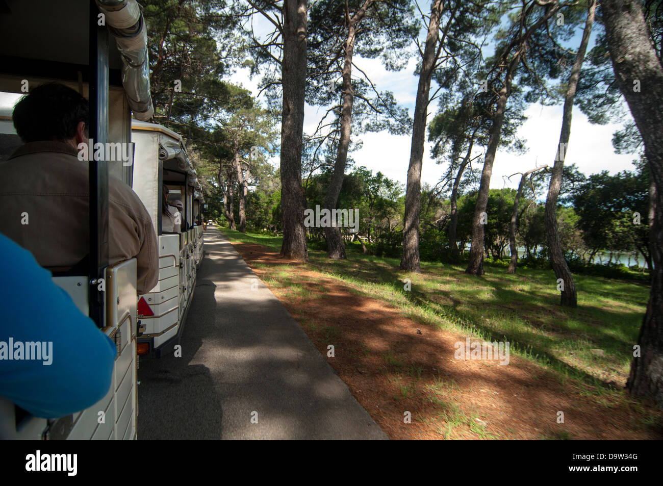 Little train hi-res stock photography and images - Alamy
