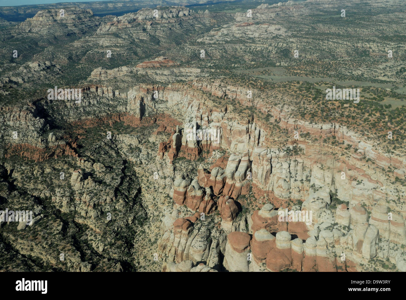 Aerial view of the Needles rock formations at Canyonlands National Park ...