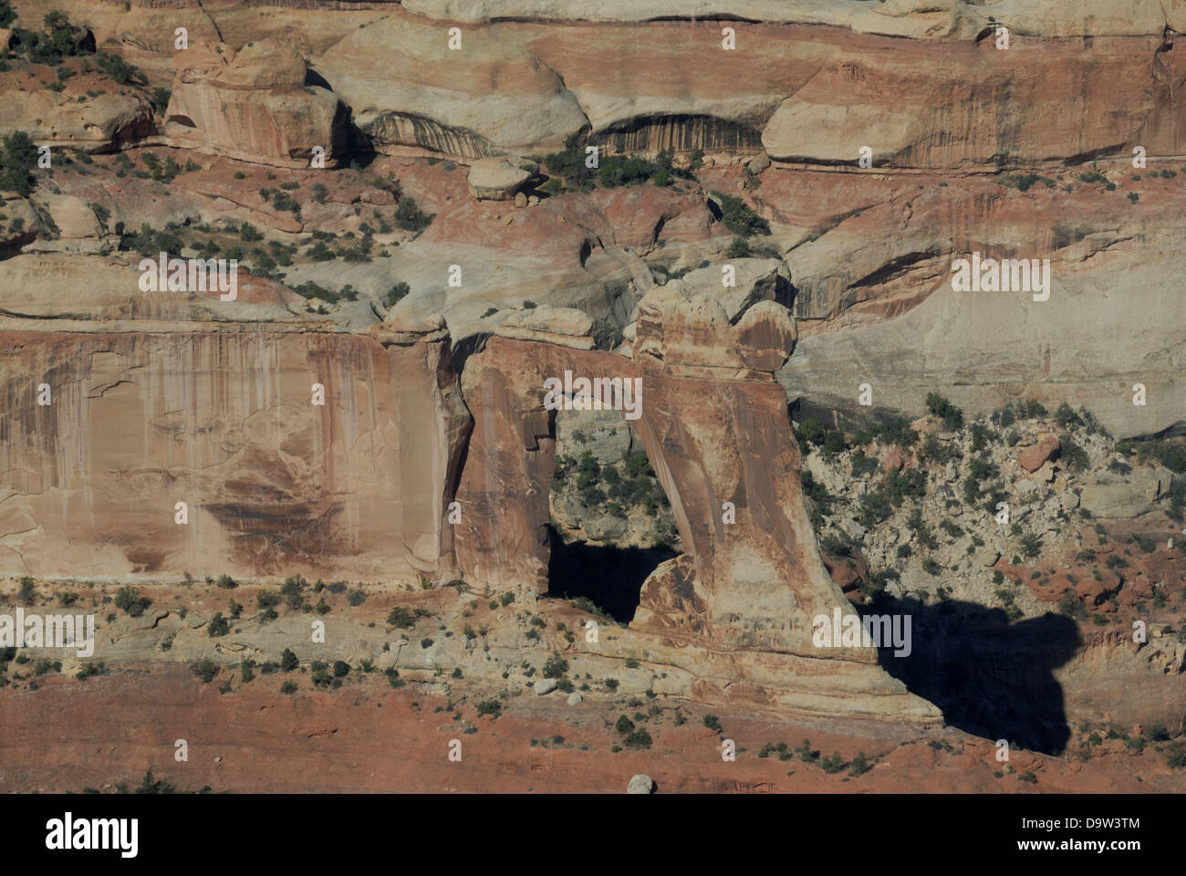 Aerial view of the Needles rock formations at Canyonlands National Park ...
