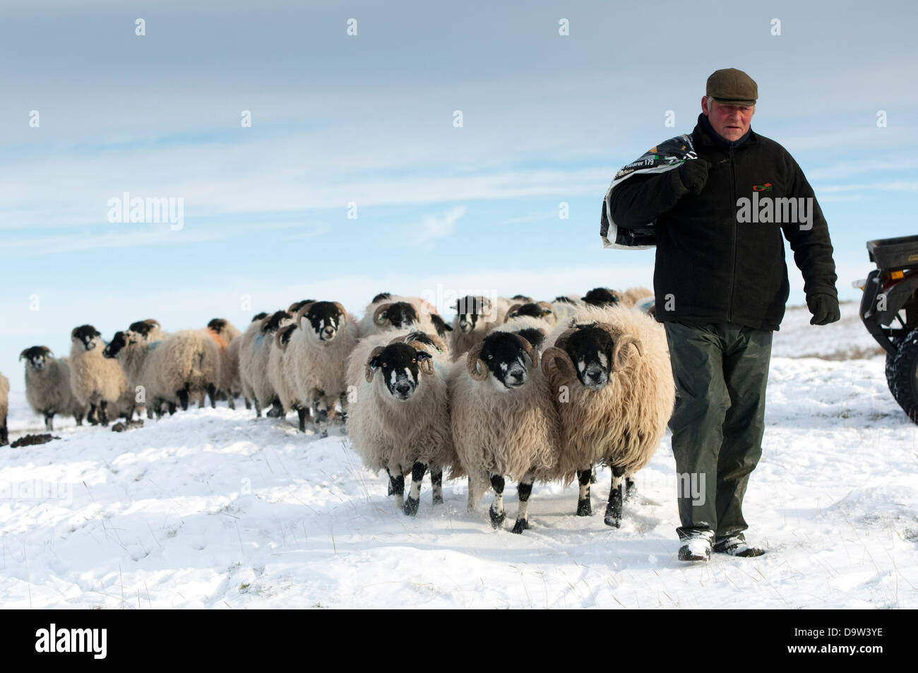 Shepherd leading his flock hi-res stock photography and images - Alamy