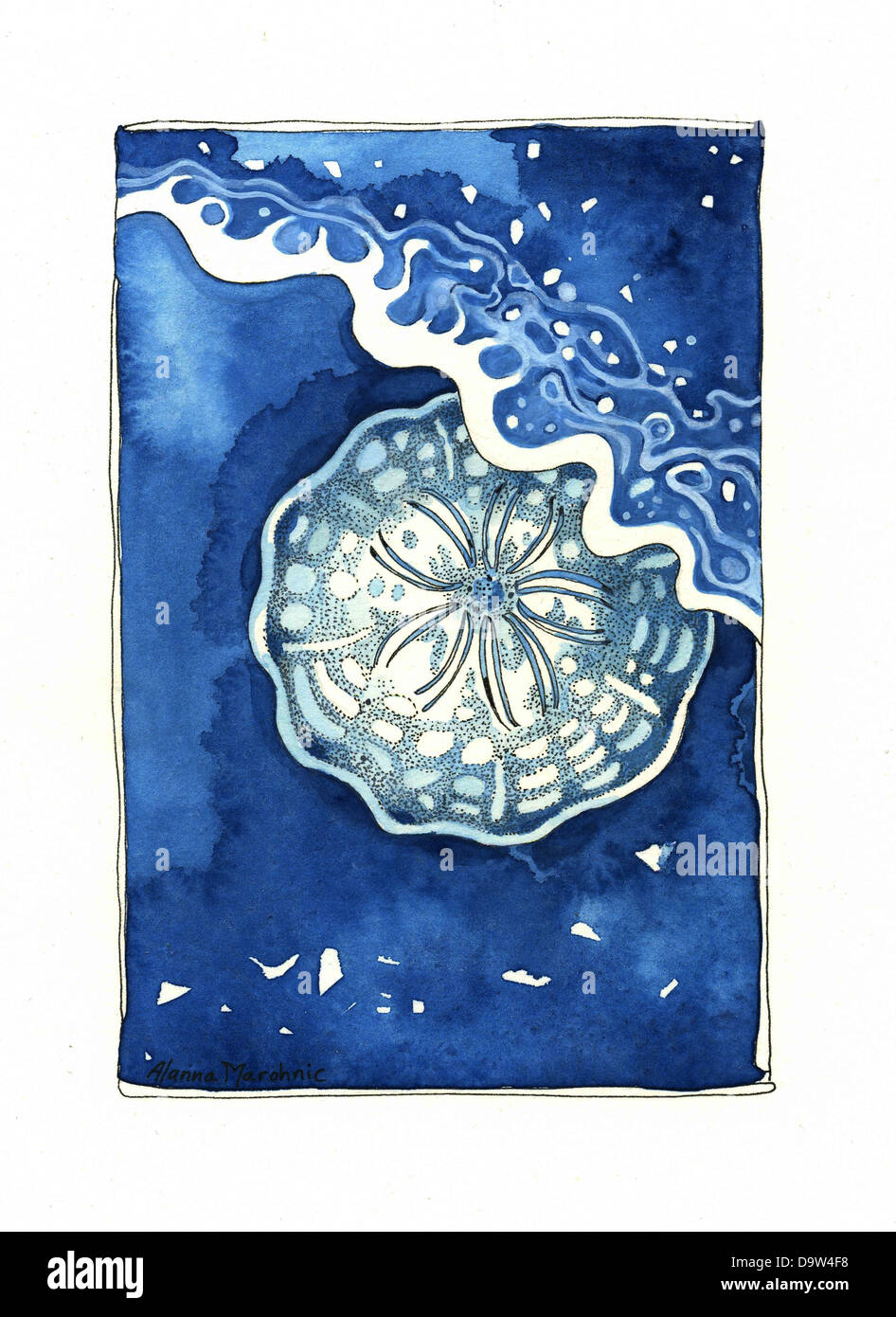 sand dollar on the beach with wave Stock Photo - Alamy