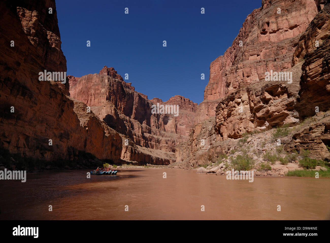 River flowing through a canyon, Colorado River, Grand Canyon, Arizona ...