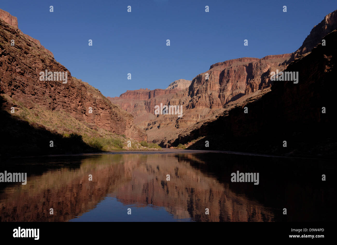 Reflection of cliffs in the Colorado River, Grand Canyon, Arizona, USA ...