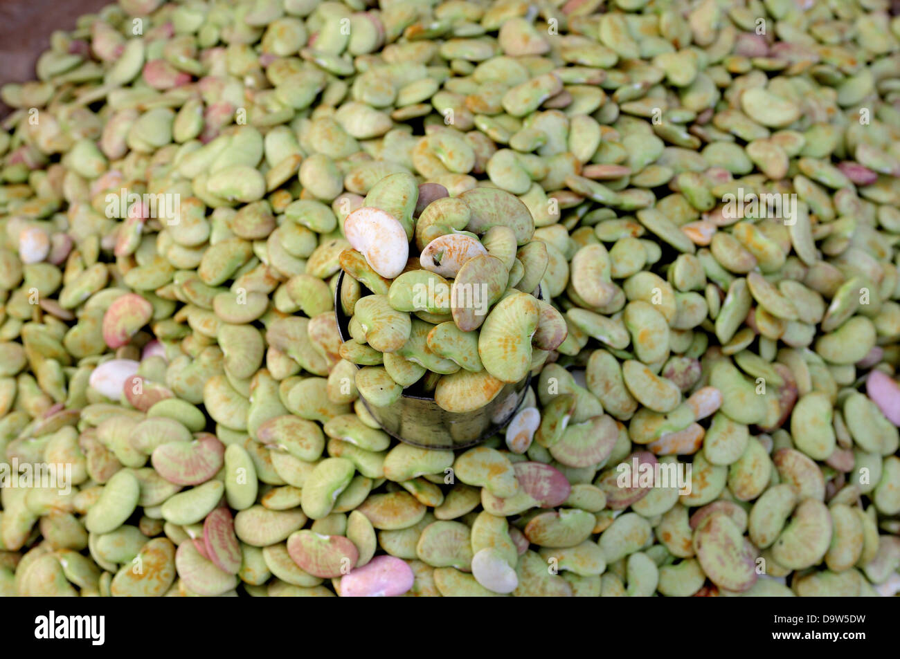 Close-up of lentils, Inle Lake, Shan State, Myanmar Stock Photo - Alamy