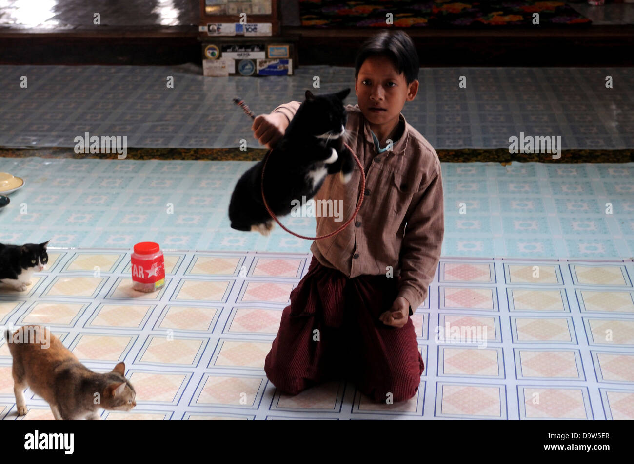 Cat jumping through a hoop at Nga Hpe Chaung (Jumping Cat Monastery ...