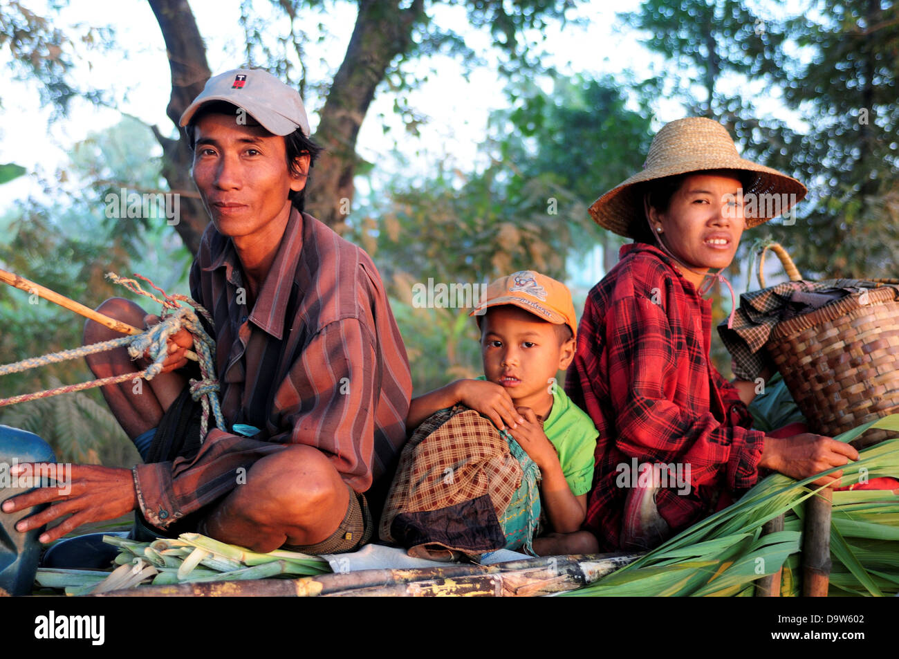 Family on an ox cart, Pyay, Bago Region, Myanmar Stock Photo - Alamy