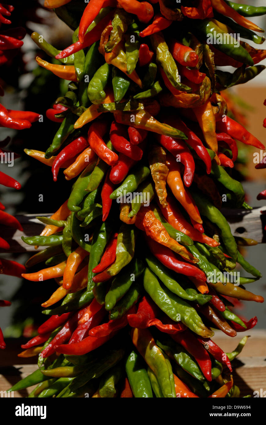 Chili strand hi-res stock photography and images - Alamy