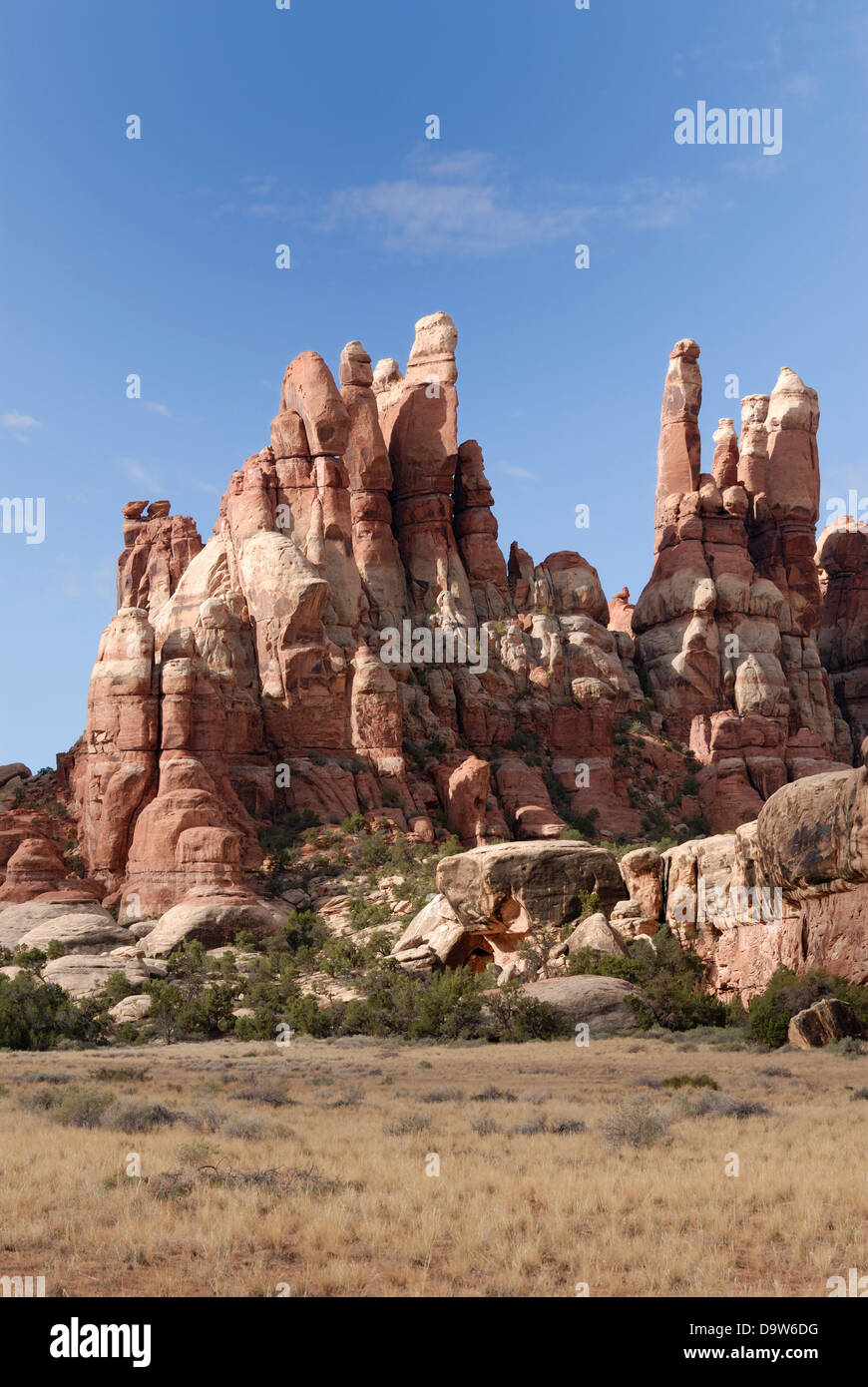 Needles rock formations, Canyonlands National Park, Utah, USA Stock ...