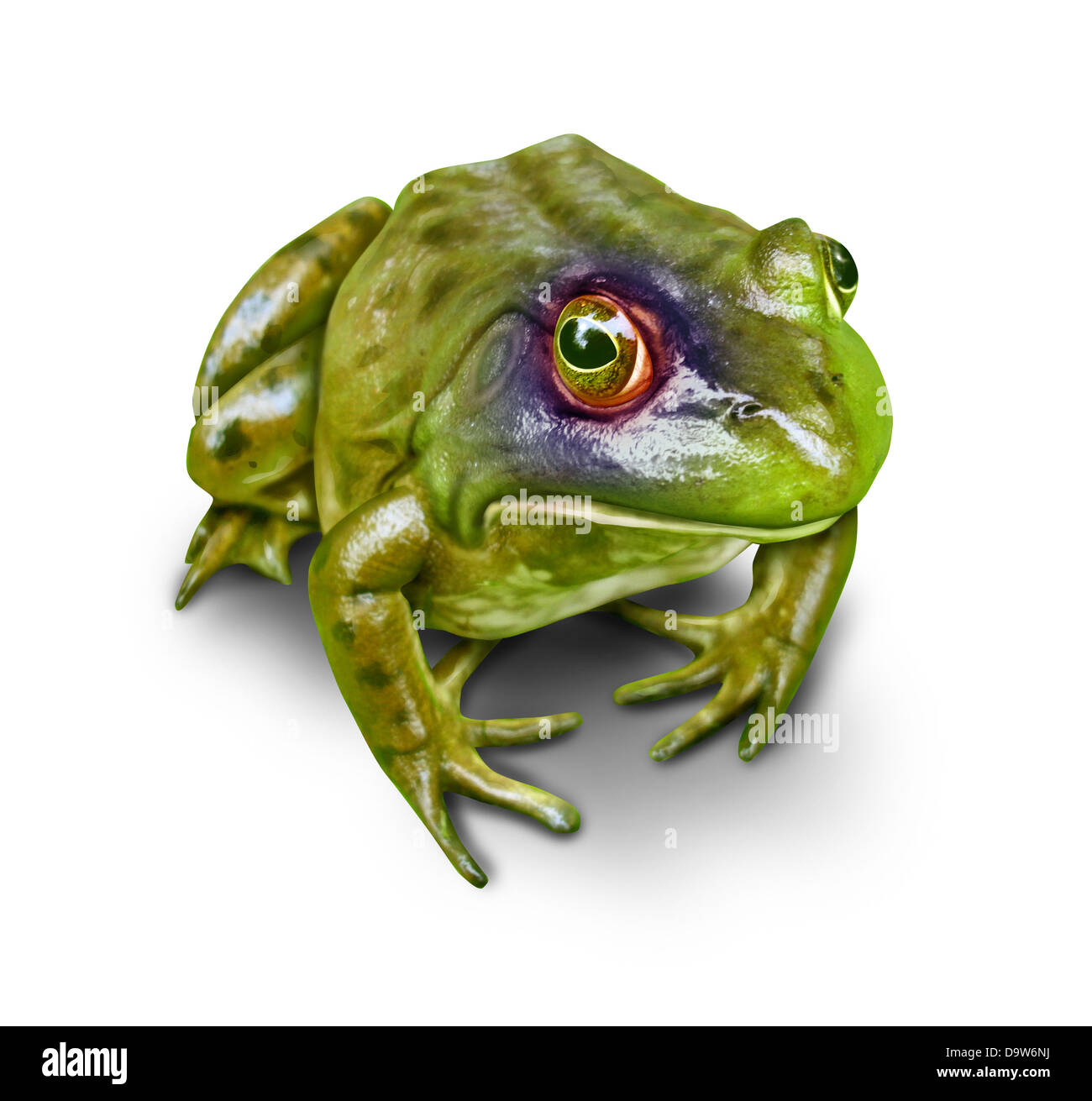Frog with a black eye as a concept of environmental damage to nature ...