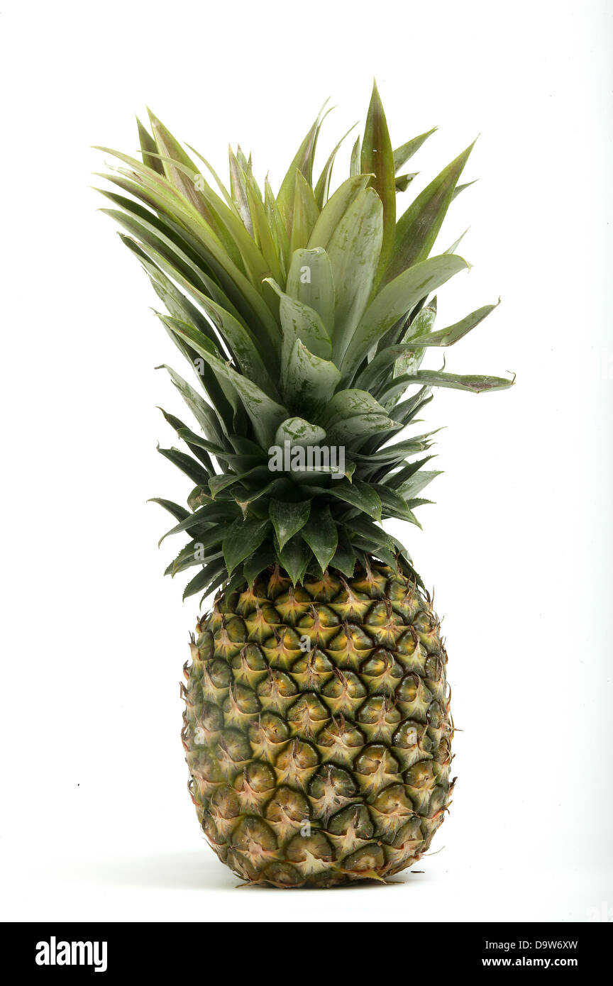 A fresh pineapple on a white background Stock Photo - Alamy