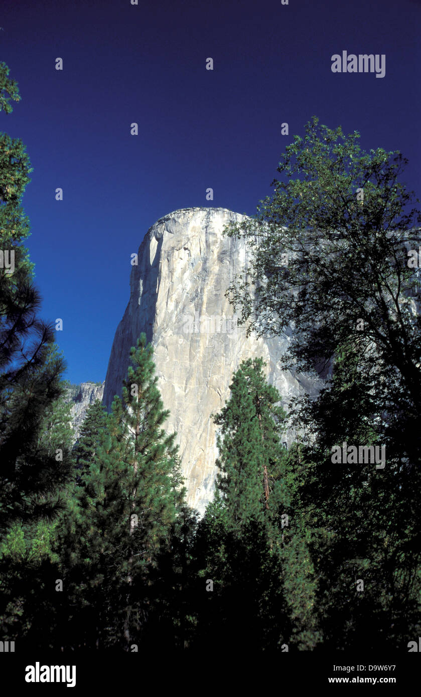Low angle view of a cliff, El Capitan, Yosemite National Park ...