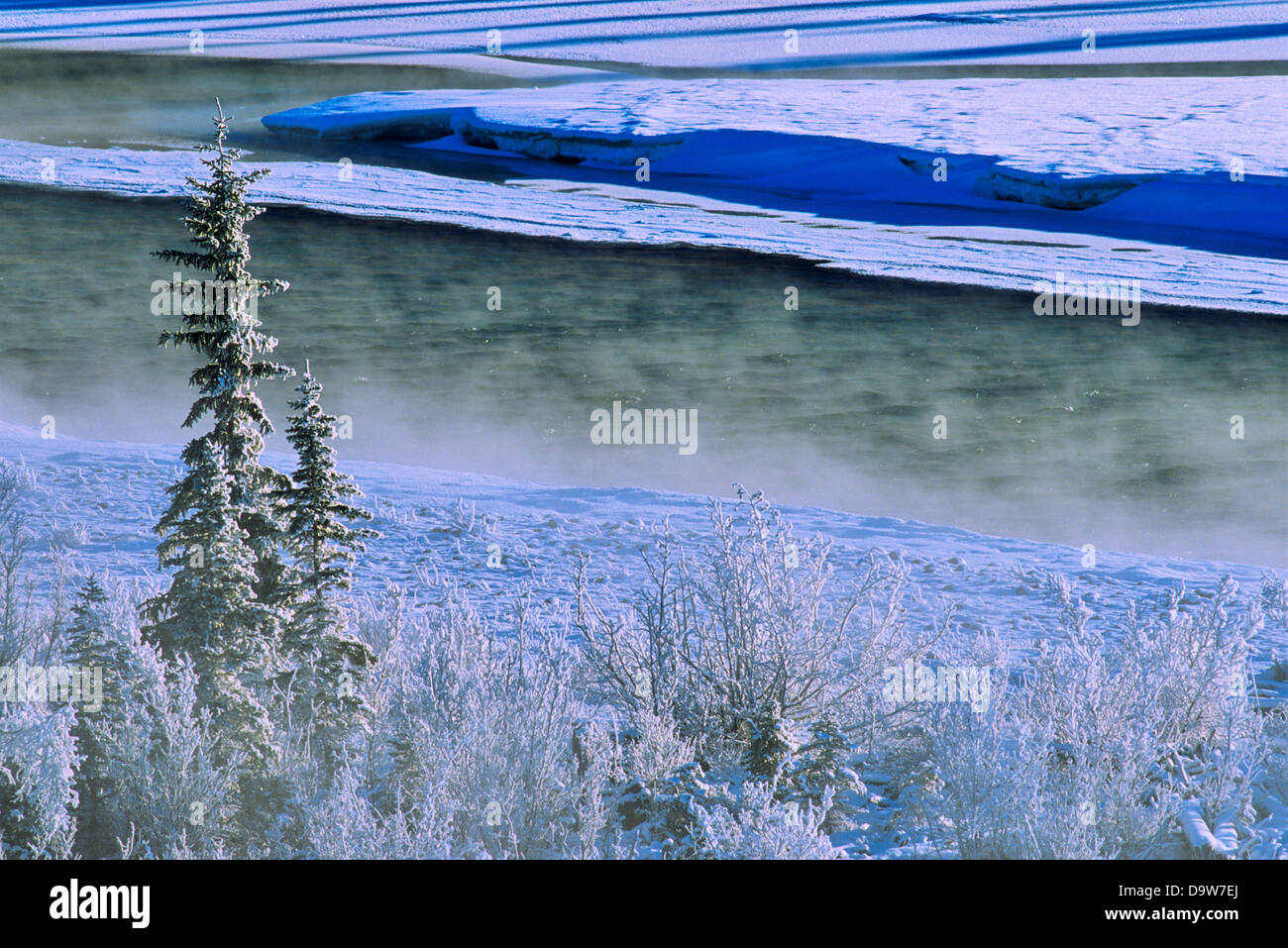 Canada, Alberta, Jasper National Park, Winter landscape Stock Photo - Alamy