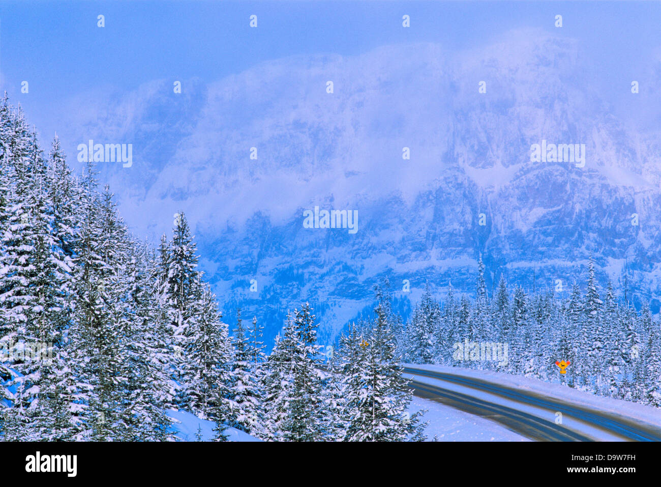 Canada, Alberta, Jasper National Park, Winter landscape Stock Photo - Alamy