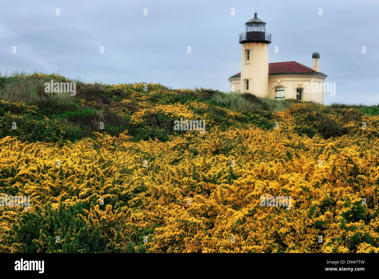 Oregon coast lighthouses hi-res stock photography and images - Alamy