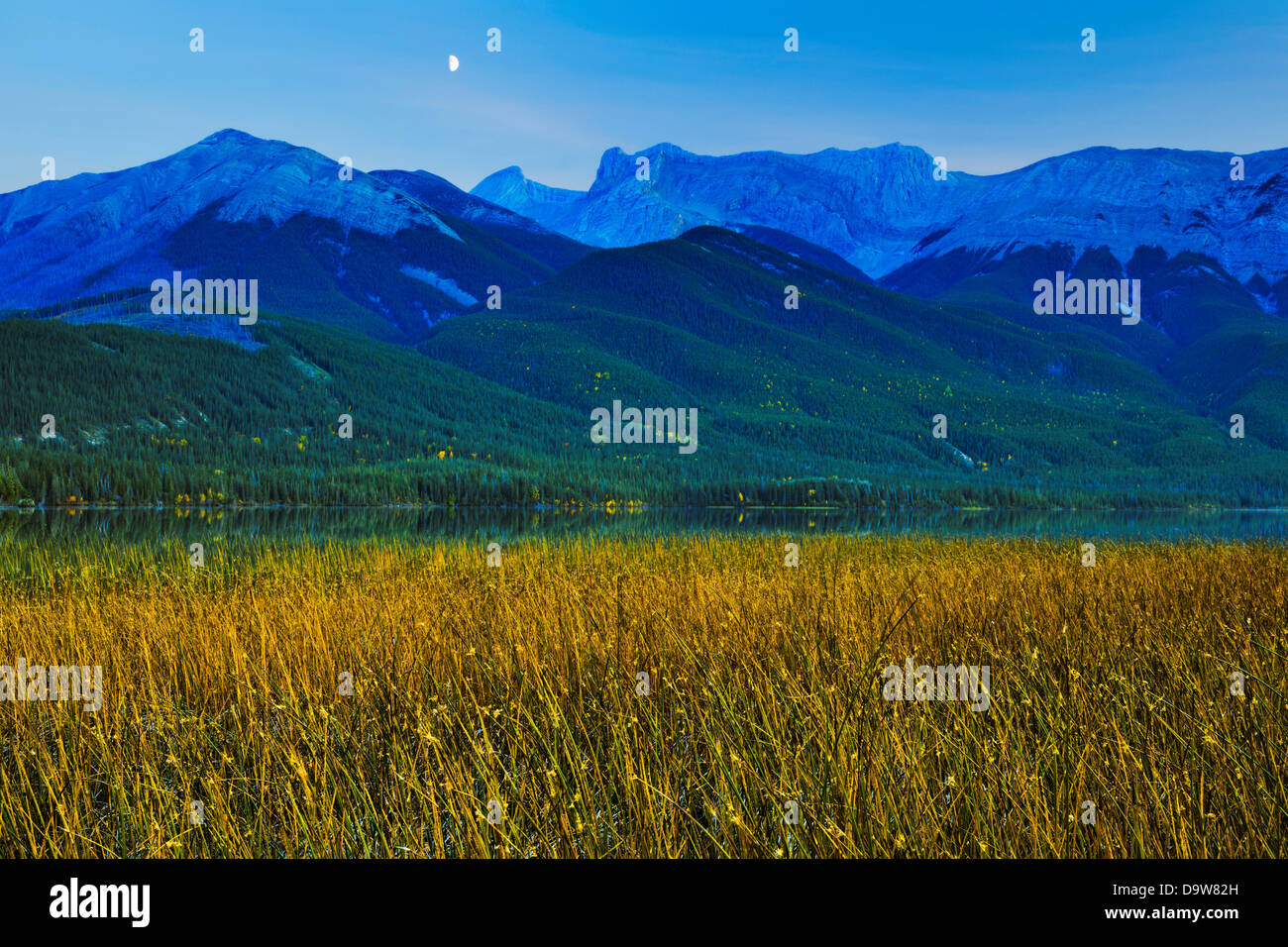 Canada, Alberta, Jasper National Park, Talbot Lake and Miette Range ...