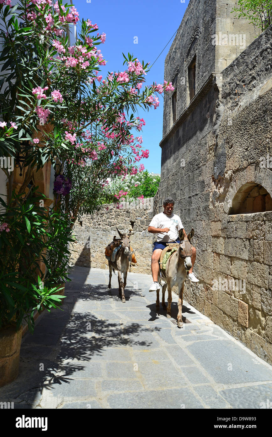 Donkey rides up to Acropolis of Lindos, Lindos, Rhodes (Rodos), The ...