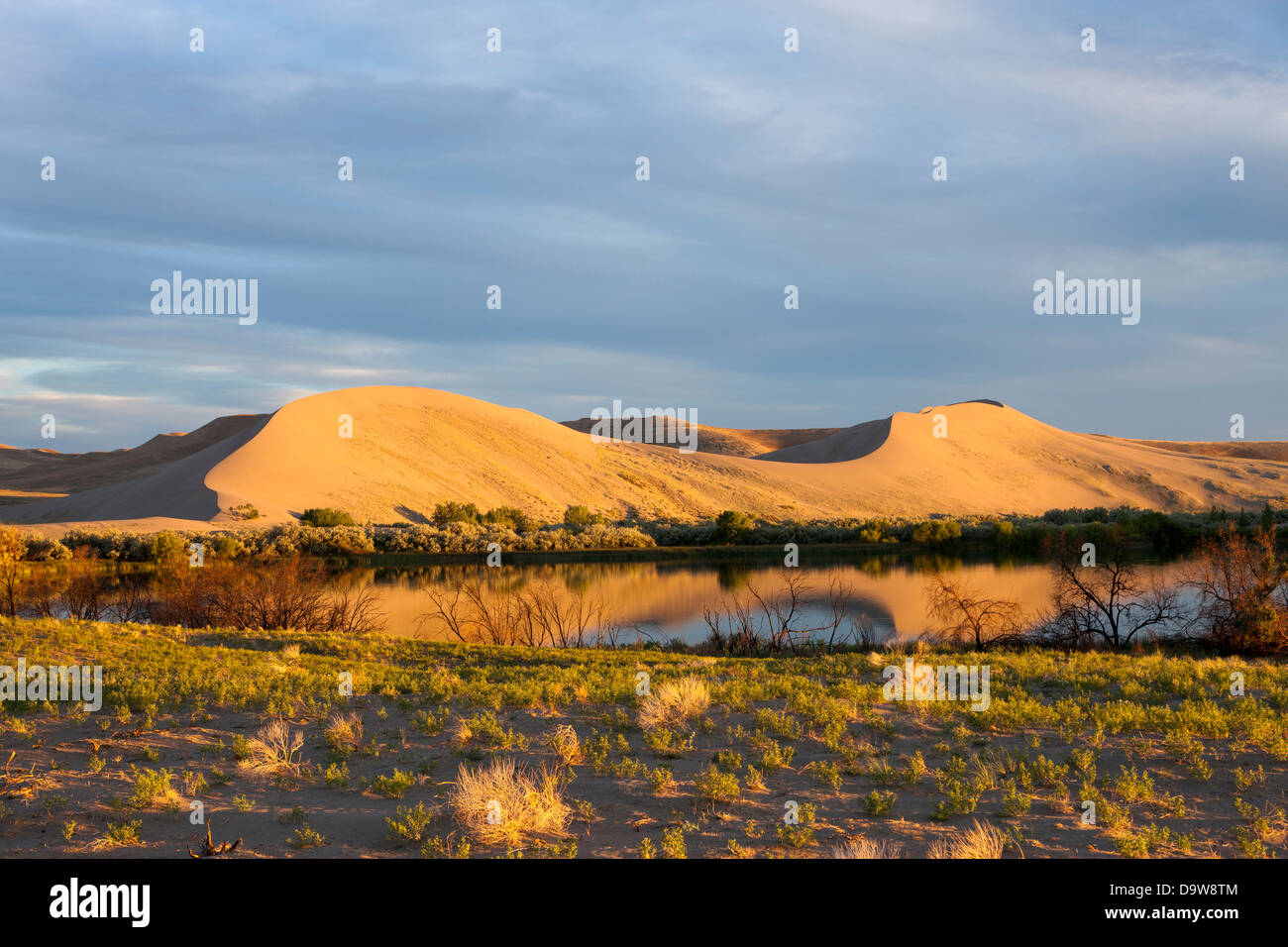 The beauty of Bruneau Sand dunes Stock Photo - Alamy