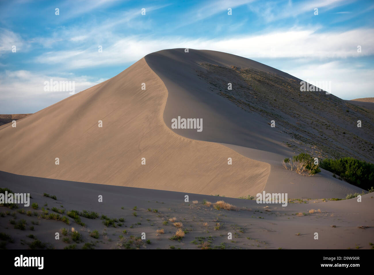 Contrasting light on the dunes Stock Photo - Alamy