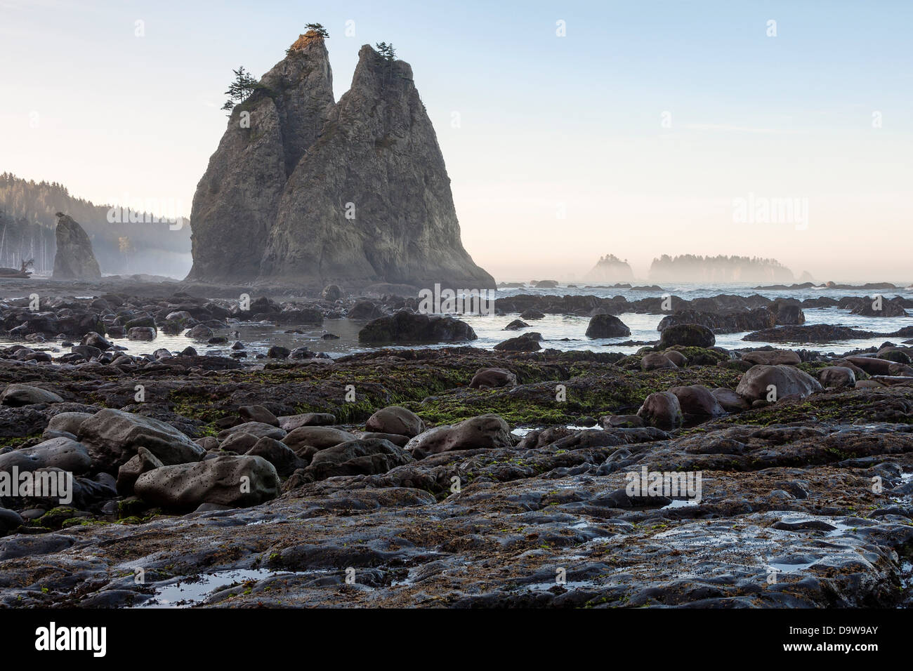 USA, Washington, Olympic National Park, Sea stacks at Rialto Beach ...