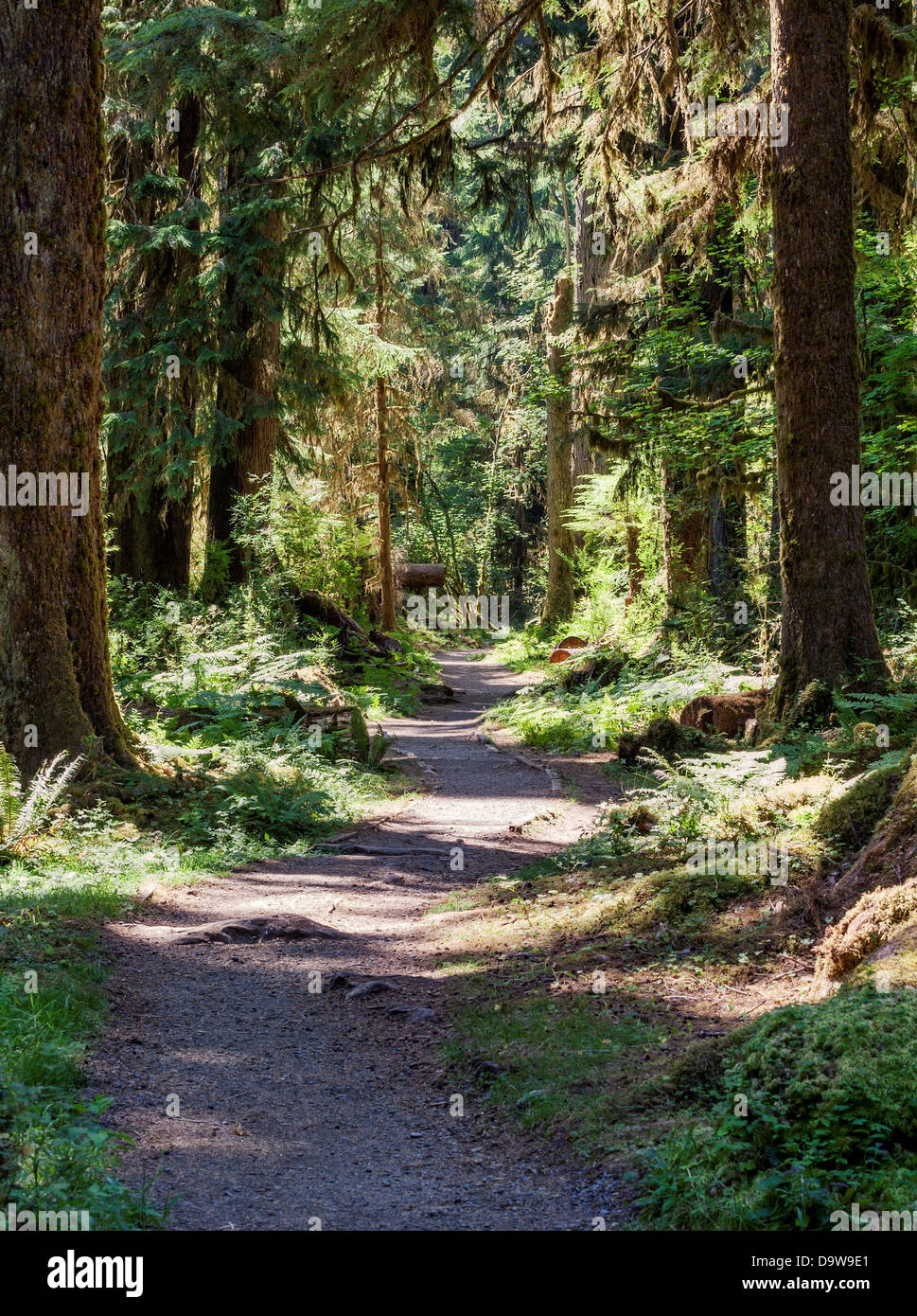 Hall of mosses in sun hi-res stock photography and images - Alamy