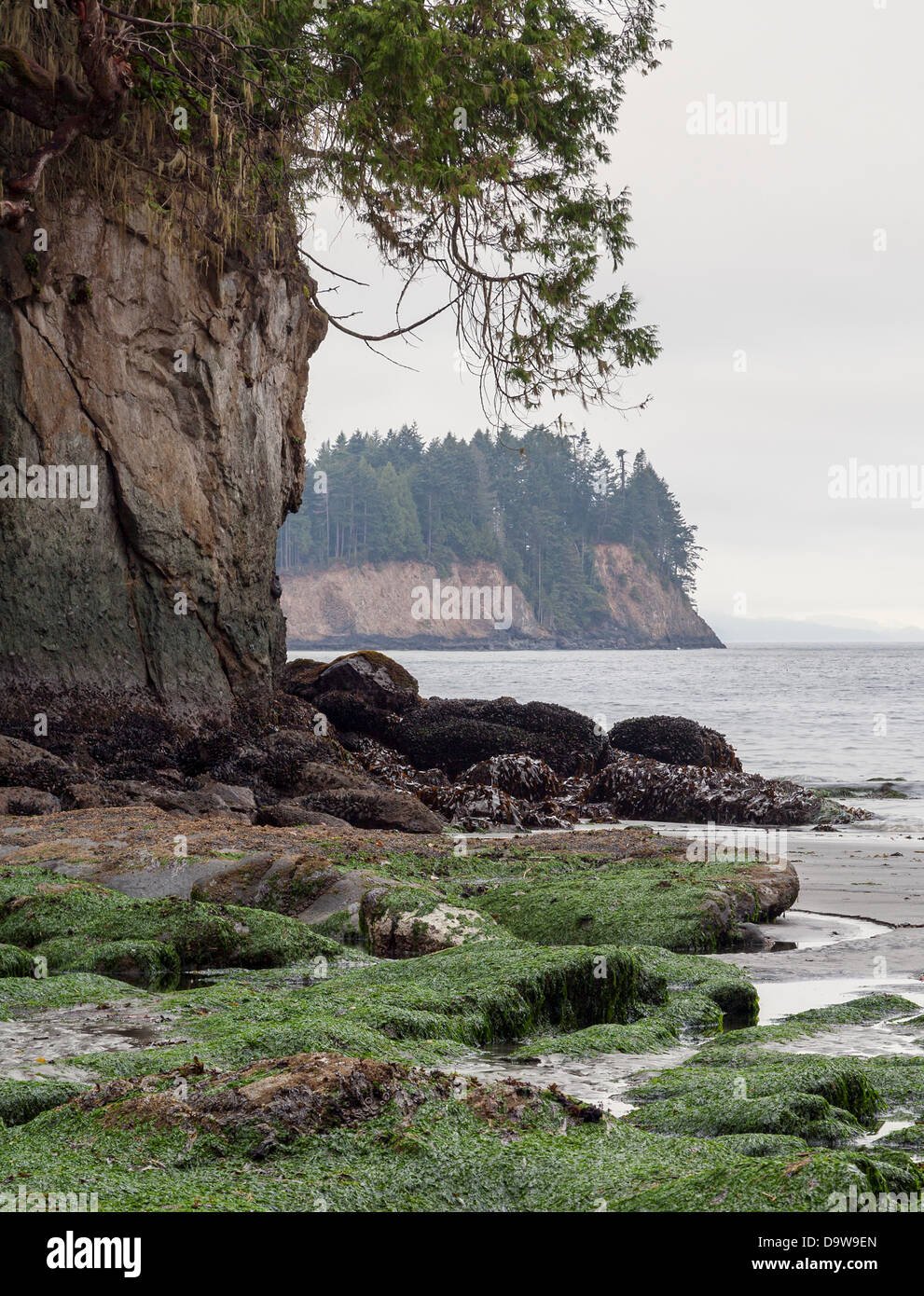 USA, Washington, Olympic National Park, Crescent Beach, Cliffs and ...
