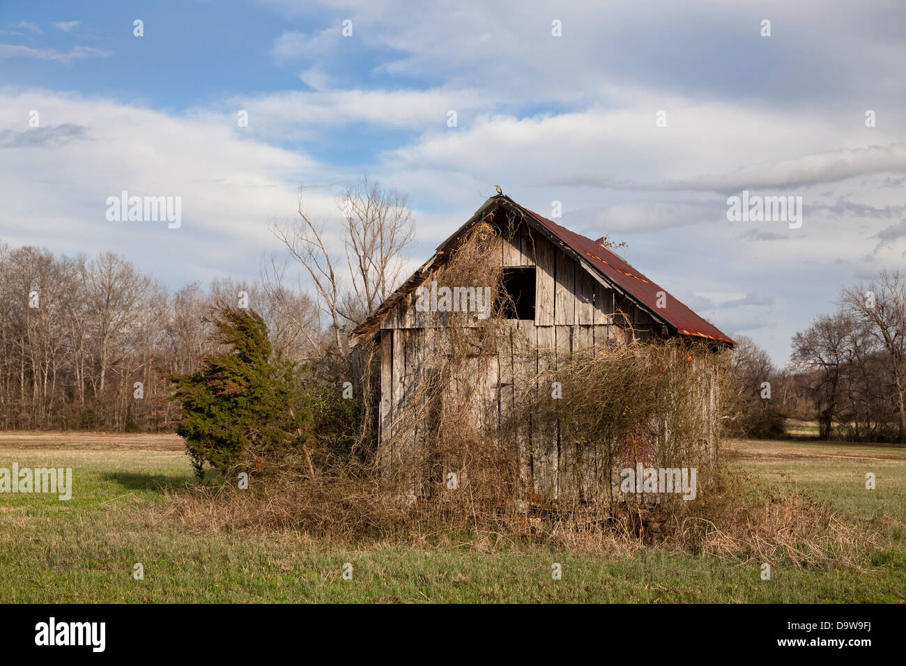 Old shack hi-res stock photography and images - Alamy