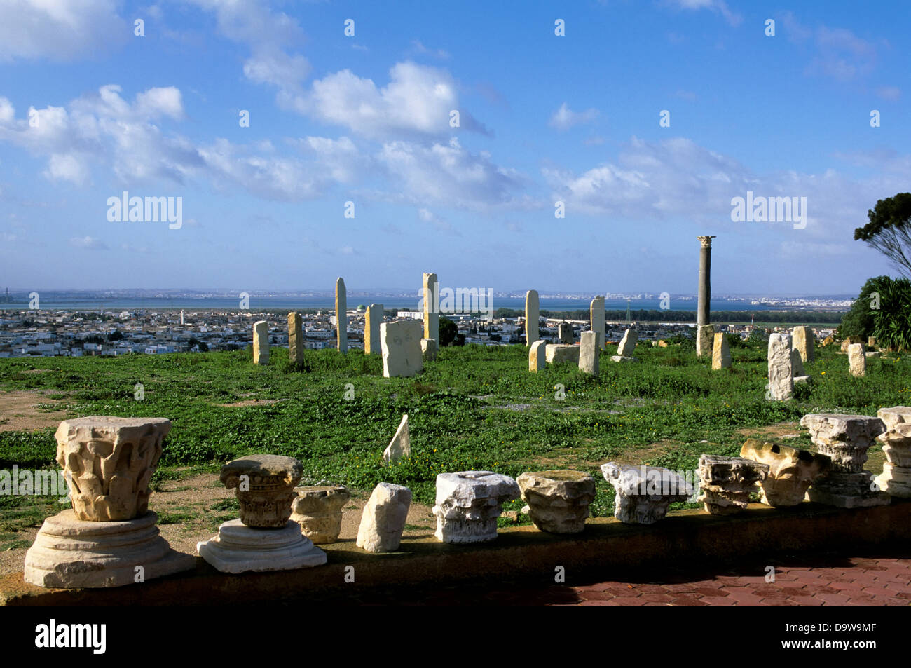 Tunisia, Tunis, Byrsa Hill Museum, Stones And Columns Stock Photo - Alamy