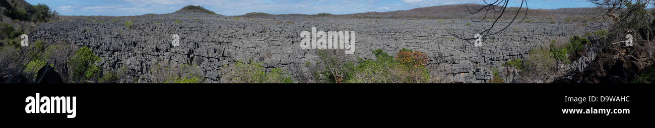 Panoramic View 103 X 13 Inches Bizarre Razor Sharp Limestone Pinnacles ...